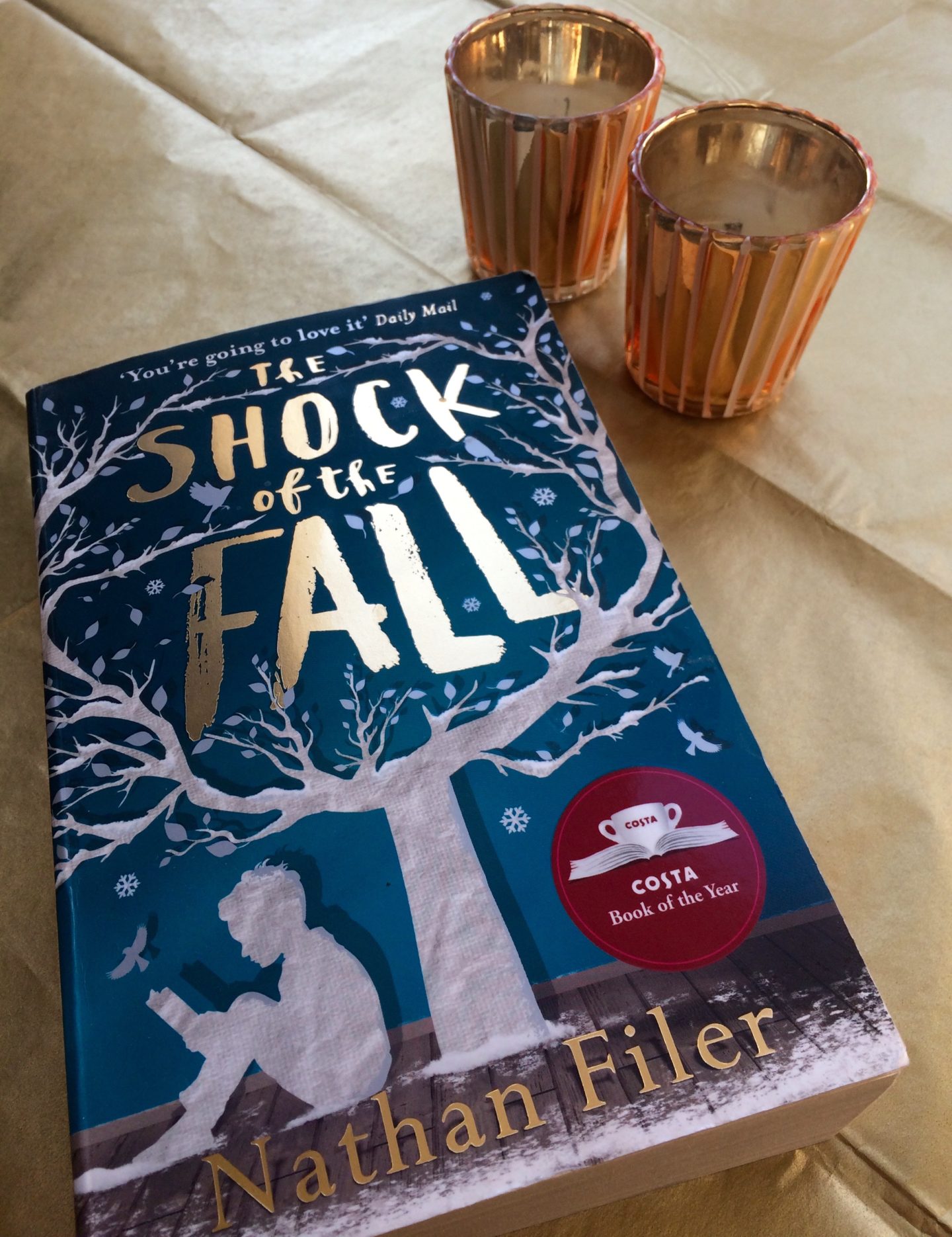 Book Review: The Shock of The Fall by Nathan Filer - Changing Pages